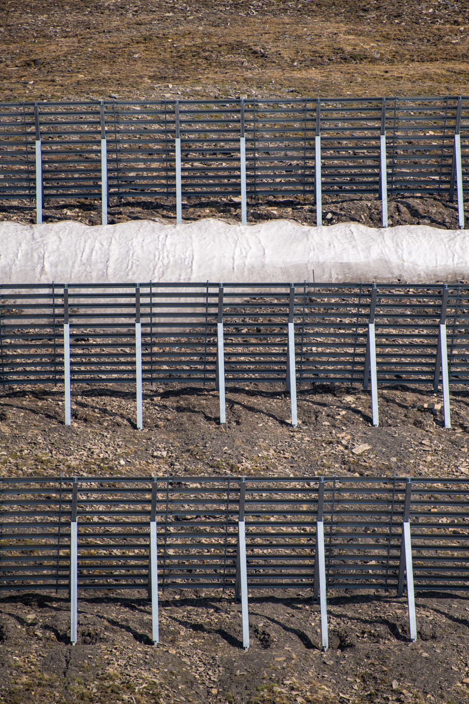 The New Arctic - Alexander Heilner